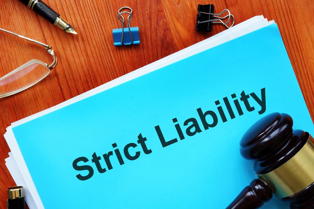What Is Strict Liability Law? | The Levin Firm Personal Injury Lawyers